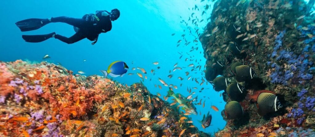 Musandam Tour Packages & Oman Musandam Trip Offers